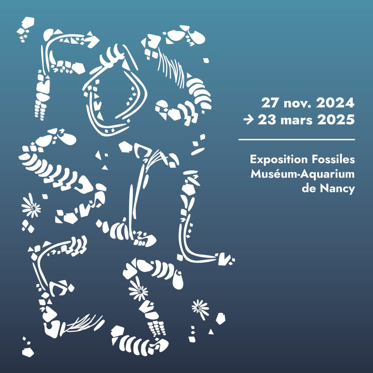 Exposition : Fossiles - ENSG